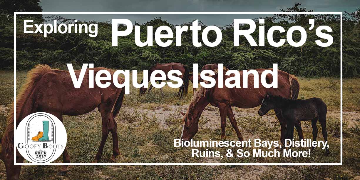 Vieques - A little island with lots to offer! - Goofy Boots Travel