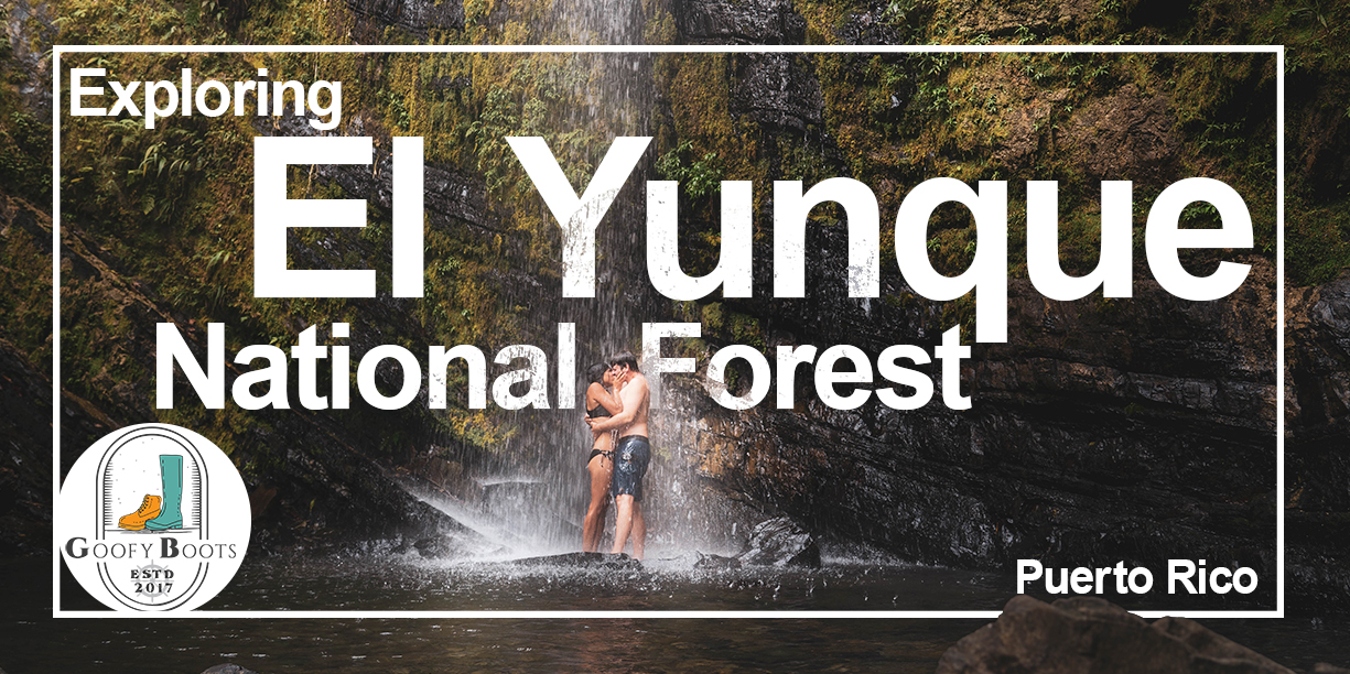 The El Yunque National Forest Pocket Guide - Goofy Boots Travel